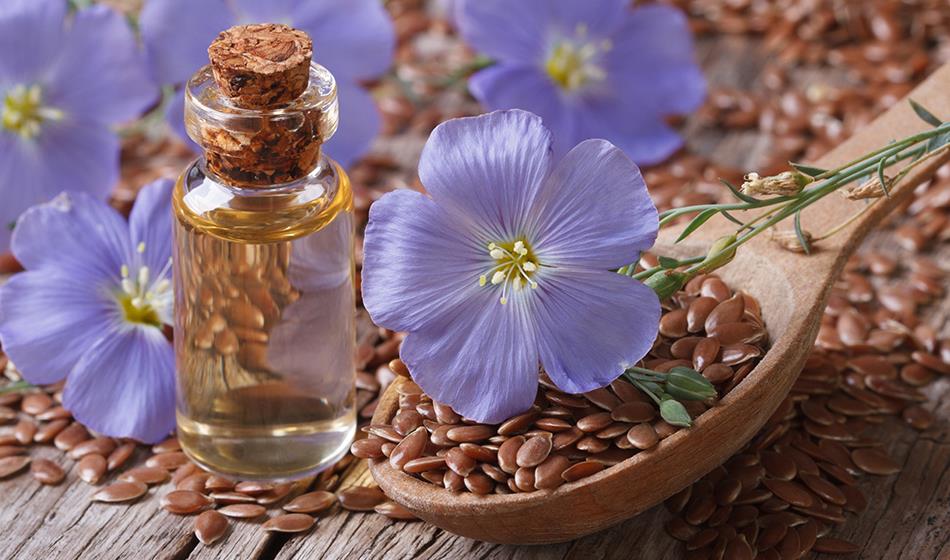 FOR THE LOVE OF LINSEED | Flora